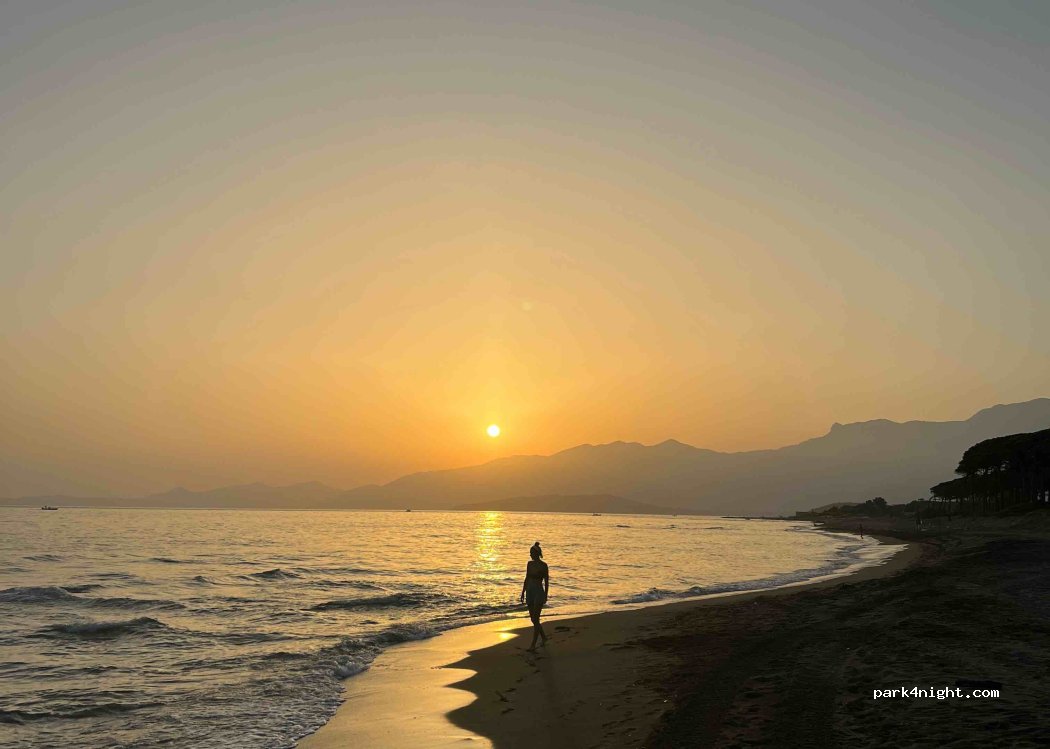 park4night - (81037) Camping Pineta di Pasquale Carpino