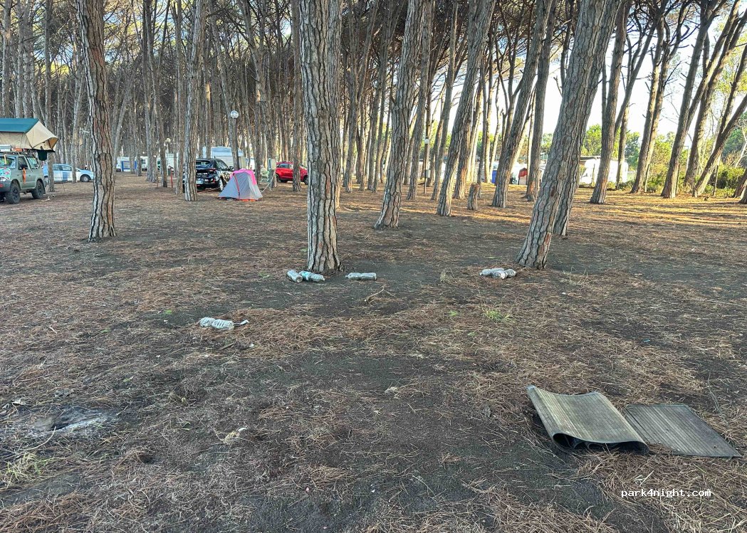 park4night - (81037) Camping Pineta di Pasquale Carpino