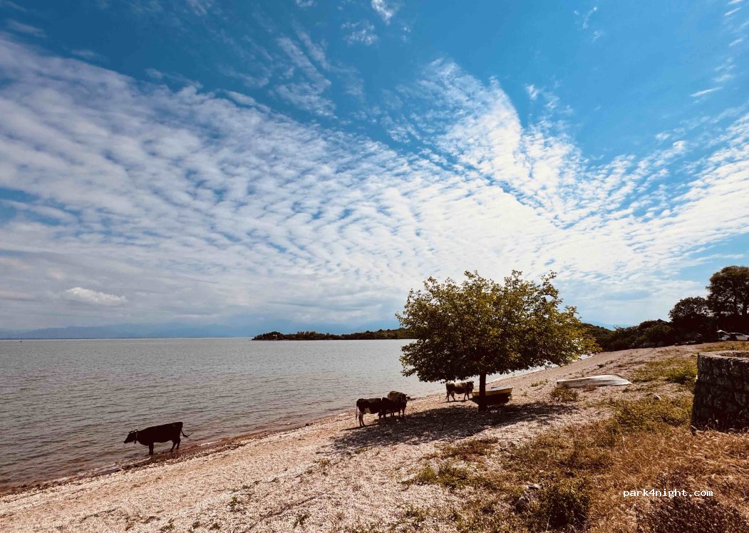 park4night - () Camping konoba murici