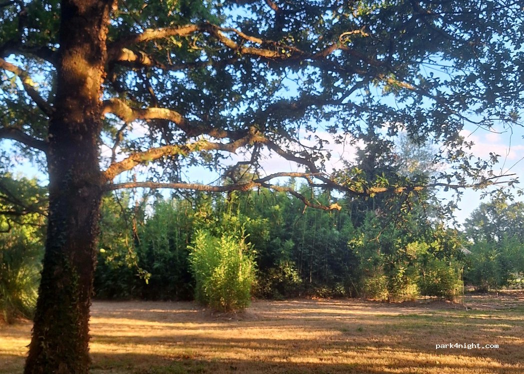 park4night - Place Premium