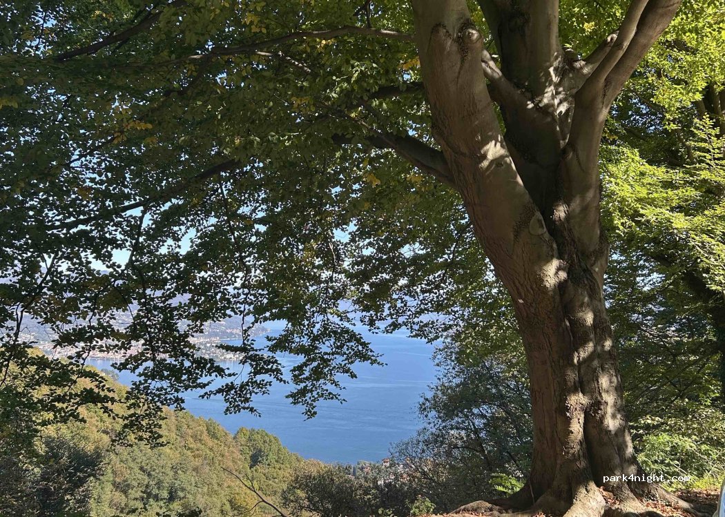 park4night - (28839) Stresa - Via Fonte Purissima