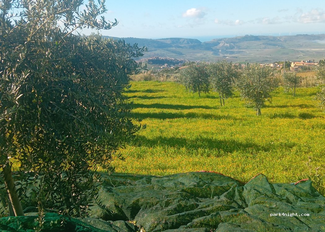 park4night - (92017) Sambuca di Sicilia
