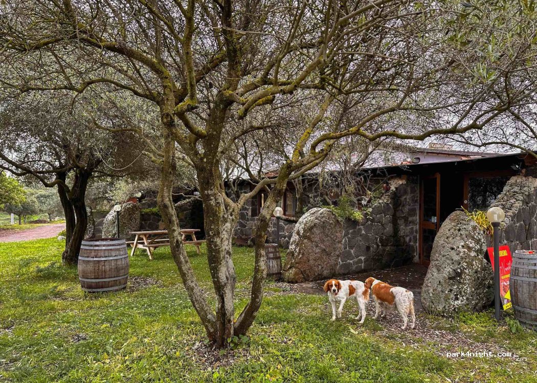 park4night - Place Premium